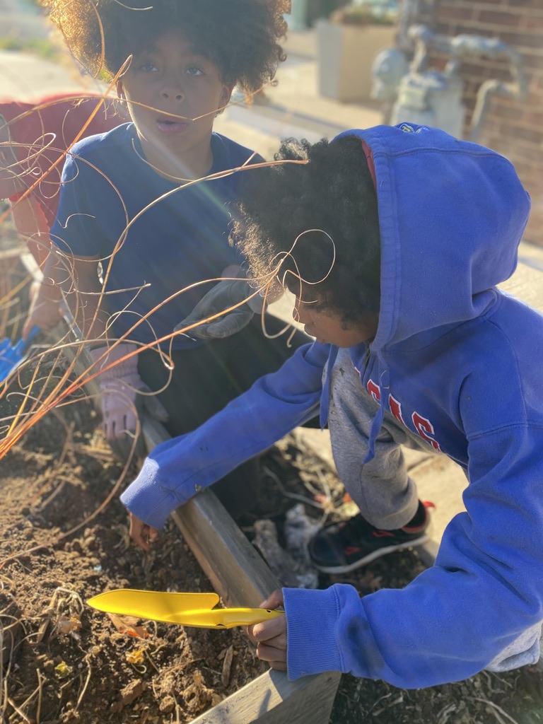 Creation Care Activities – St. Andrew's Episcopal Church