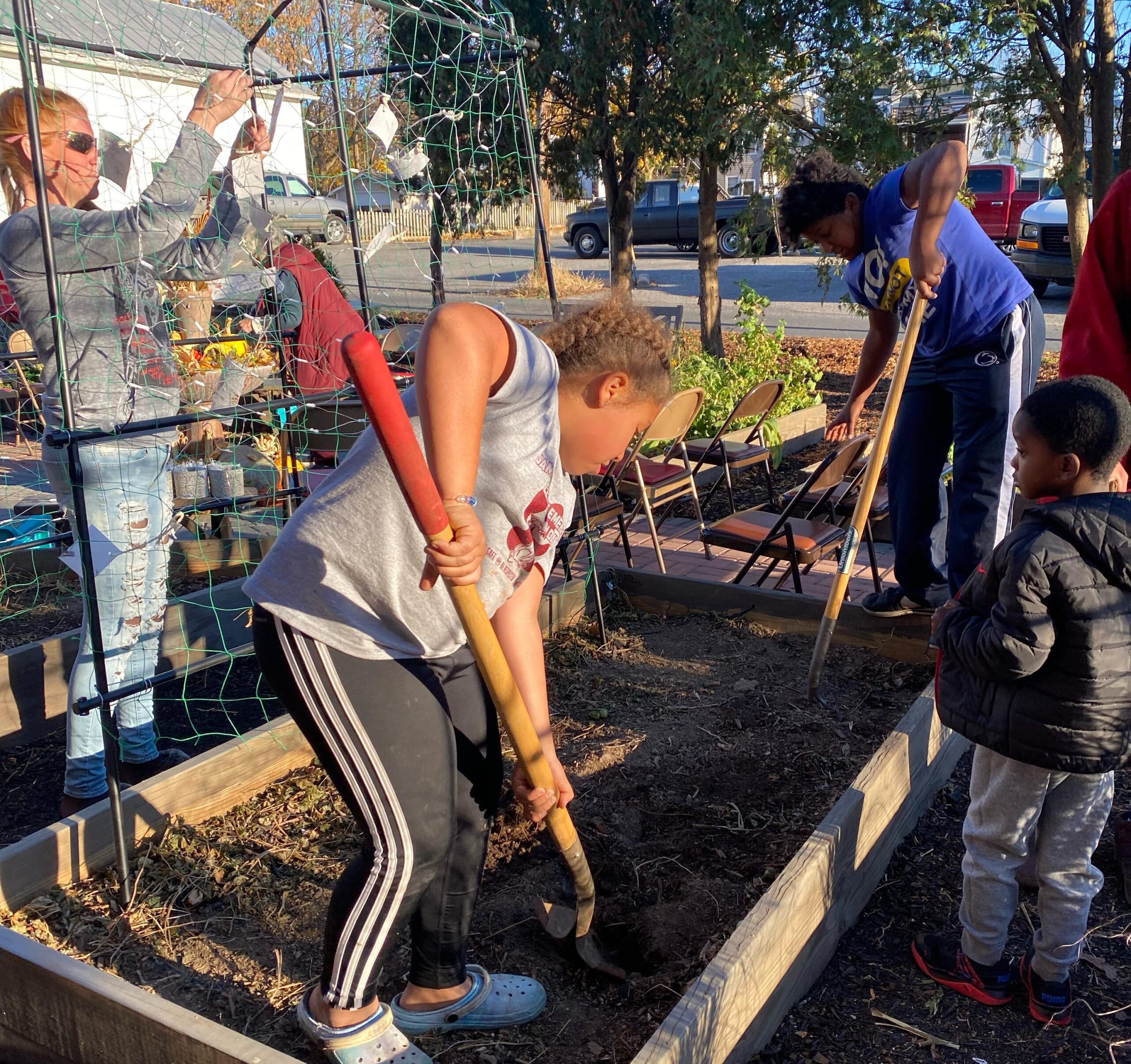 Creation Care Activities – St. Andrew's Episcopal Church