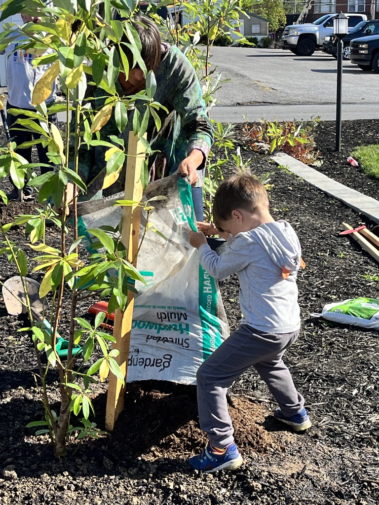 Creation Care Activities – St. Andrew's Episcopal Church