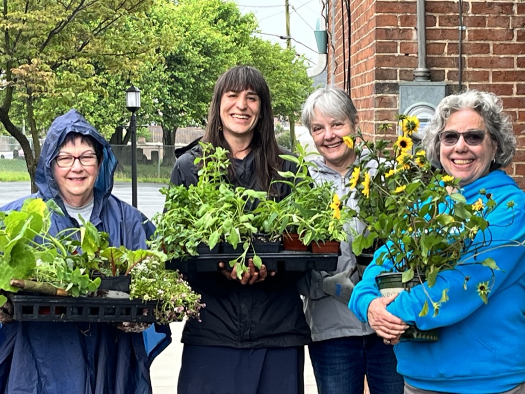 Creation Care Activities – St. Andrew's Episcopal Church