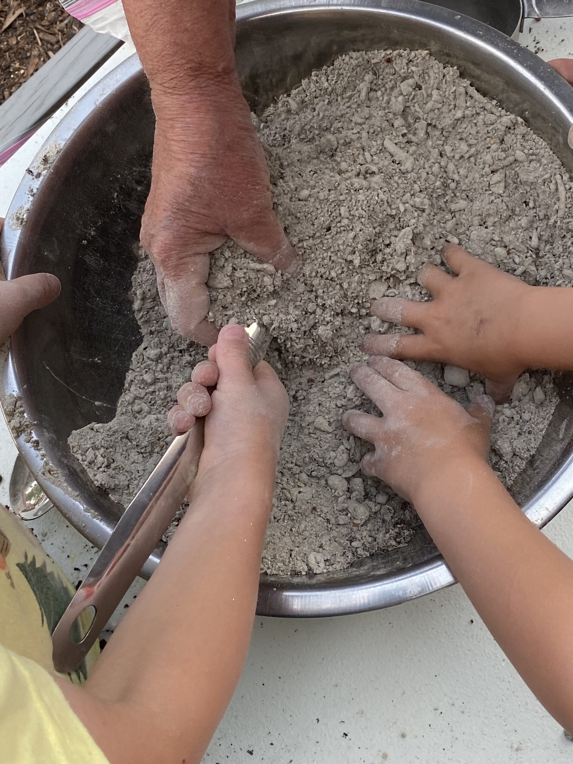 Creation Care Activities – St. Andrew's Episcopal Church
